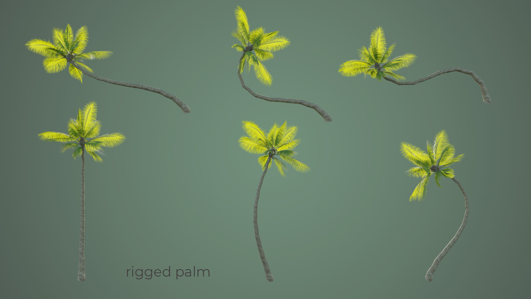 ArtStation - Palm Trees | Game Assets