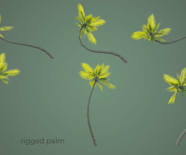 ArtStation - Palm Trees | Game Assets