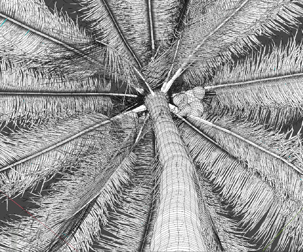 ArtStation - Palm Trees | Game Assets