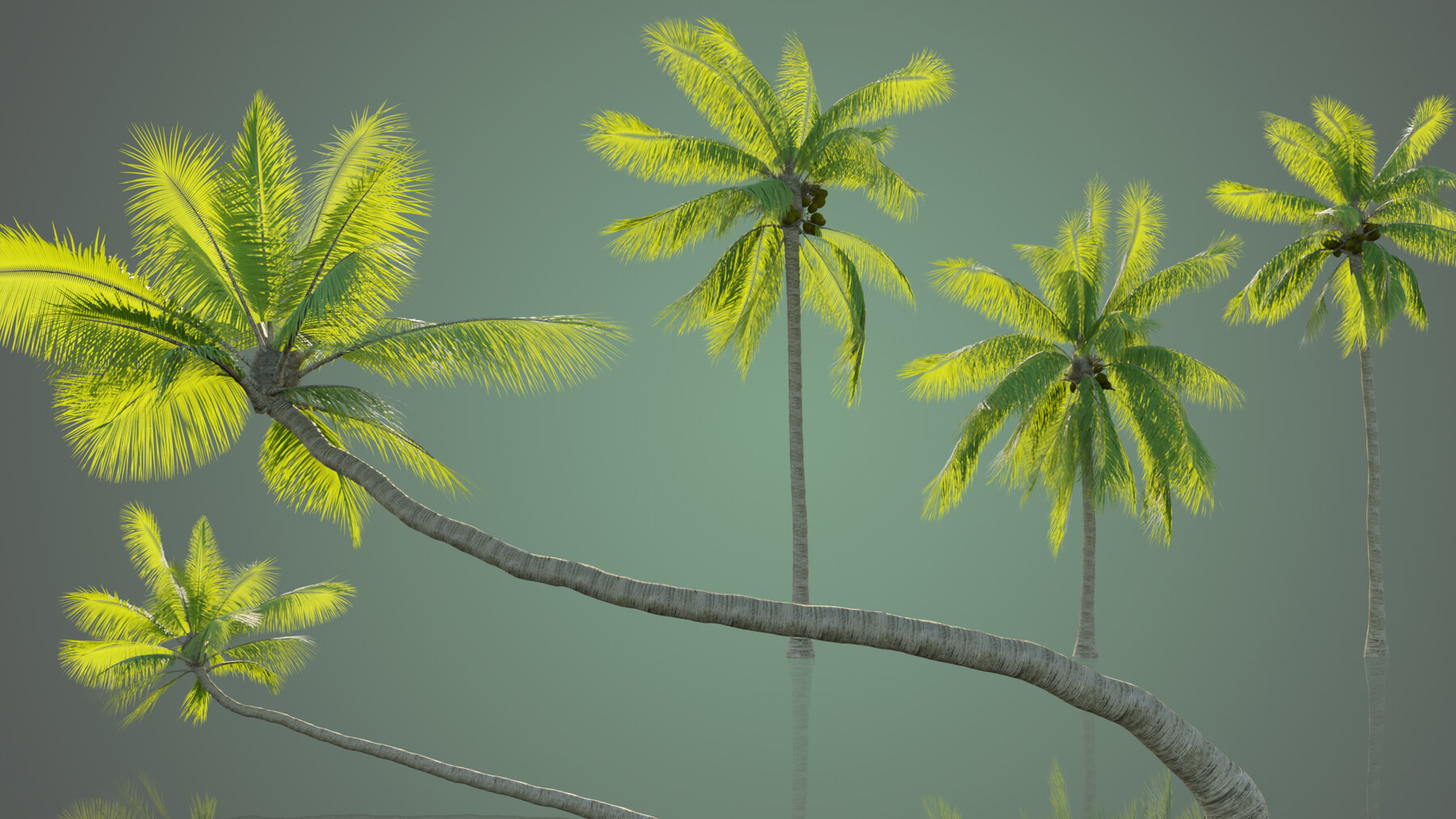 ArtStation - Palm Trees | Game Assets