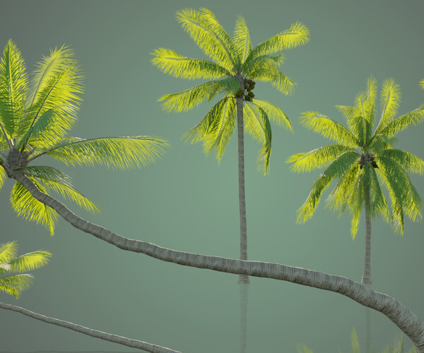 ArtStation - Palm Trees | Game Assets