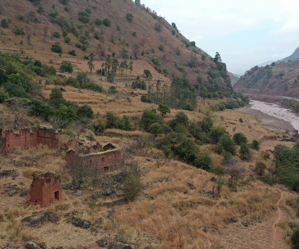 ArtStation - Uncultivated land pack | Resources