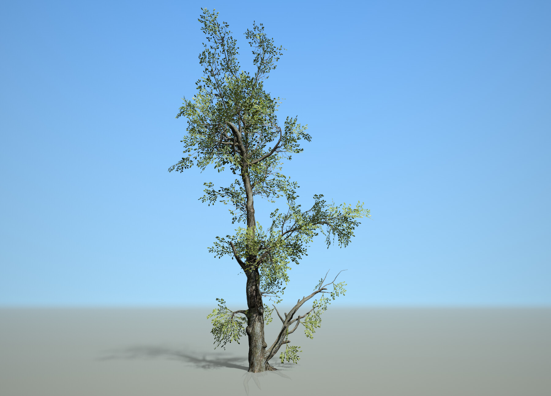 ArtStation - Nature Environment Asset Pack vol 2 | Game Assets