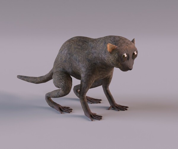 ArtStation - Tarsier | Resources