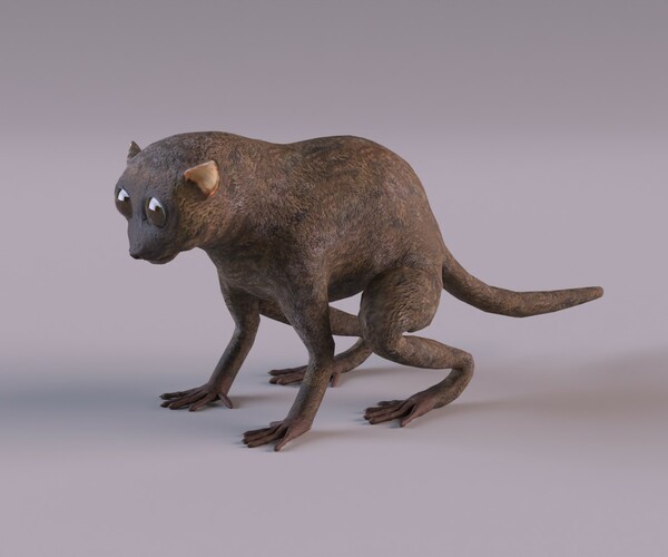 ArtStation - Tarsier | Resources