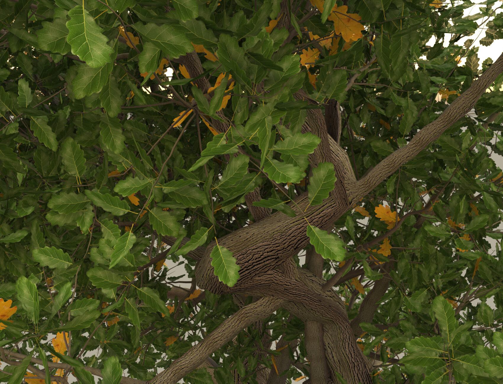 ArtStation - oak | Resources