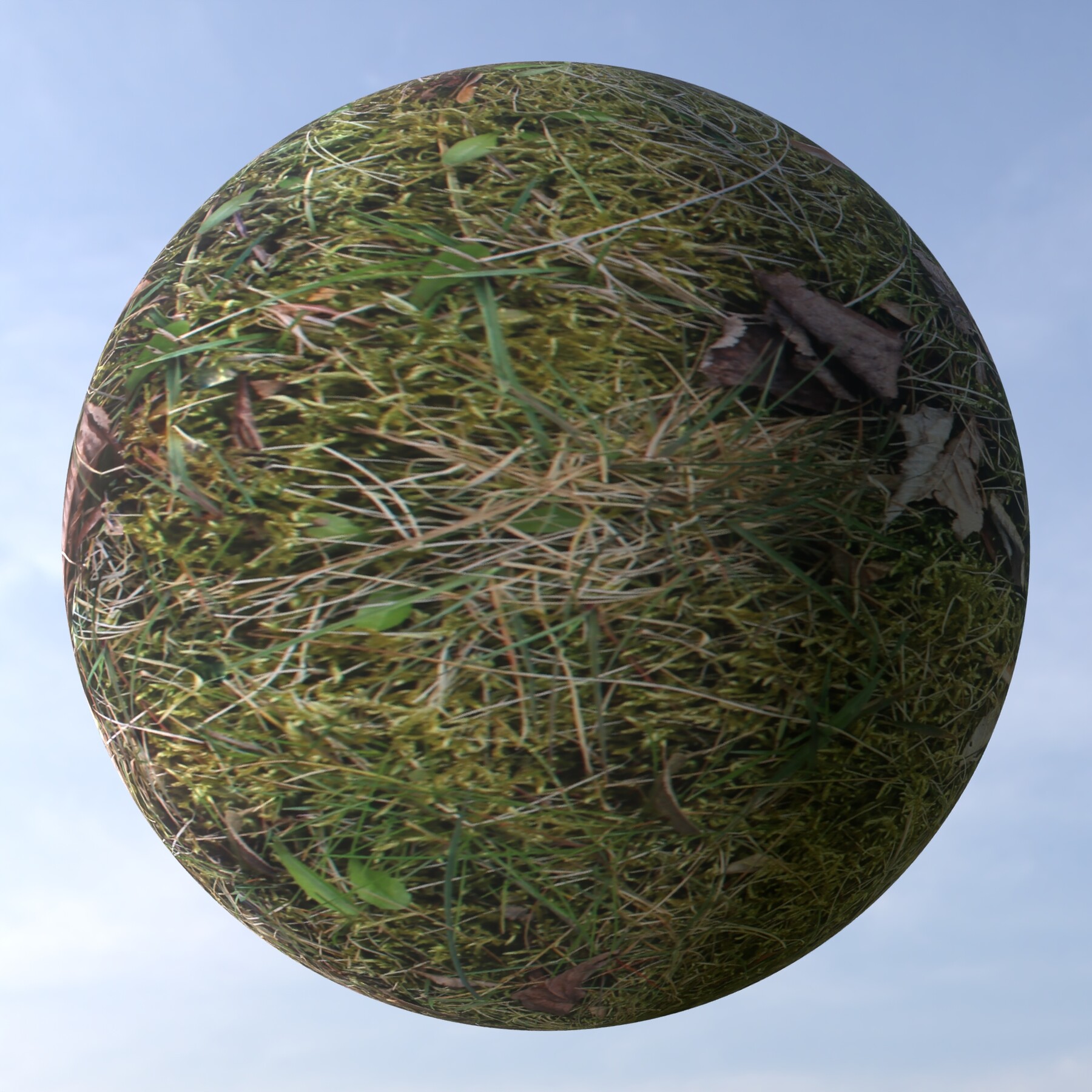 ArtStation - Grass 5 PBR Material | Game Assets