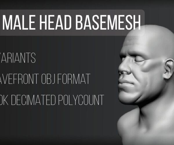 ArtStation - Male Head Bust Basemesh | Resources