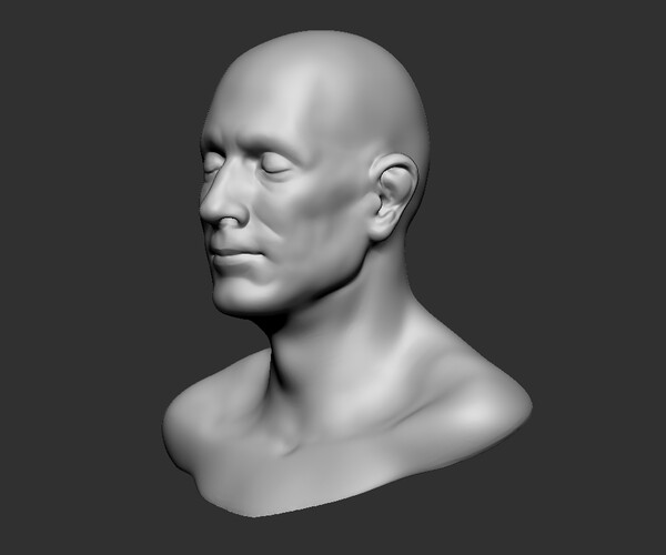 ArtStation - Male Head Bust Basemesh | Resources