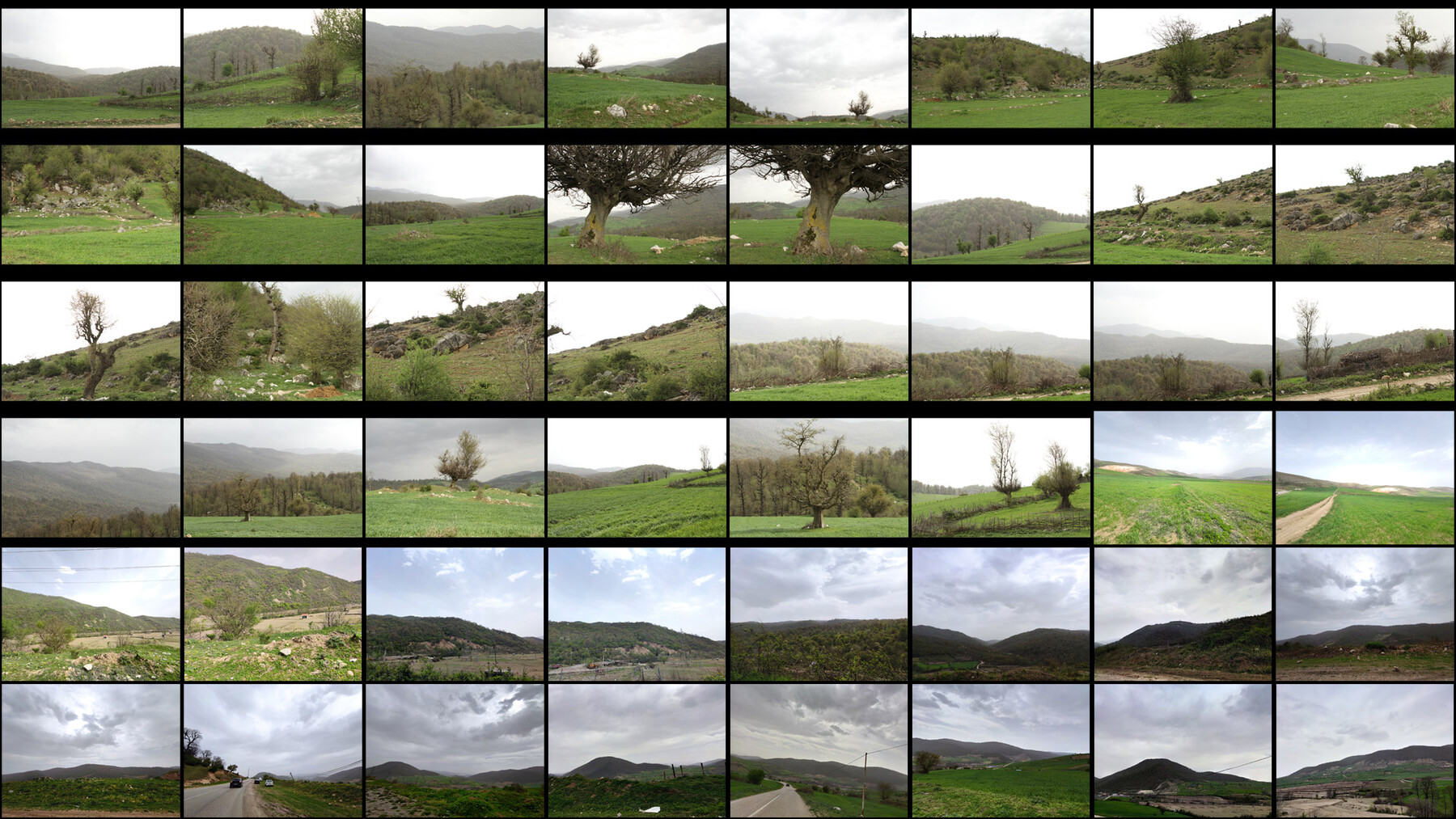 ArtStation - Nature pack | Resources