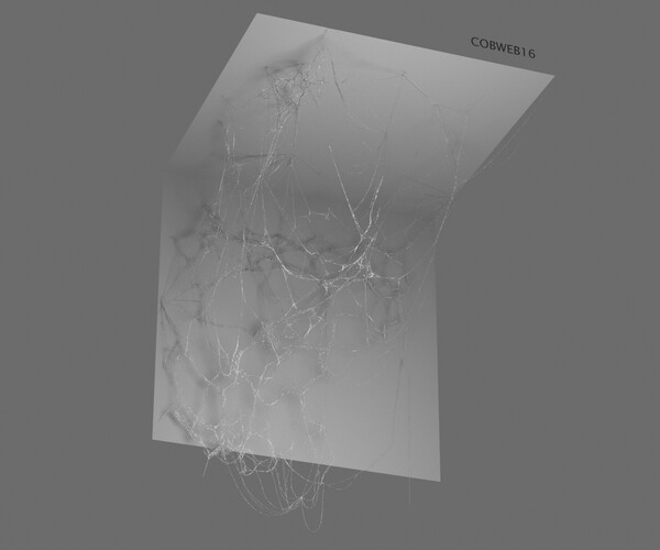 ArtStation - Cobwebs BUNDLE | Resources