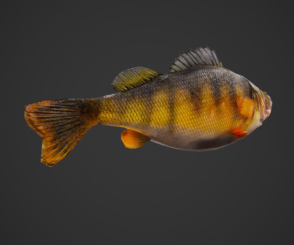 ArtStation - Perch | Game Assets