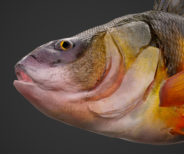 ArtStation - Perch | Game Assets