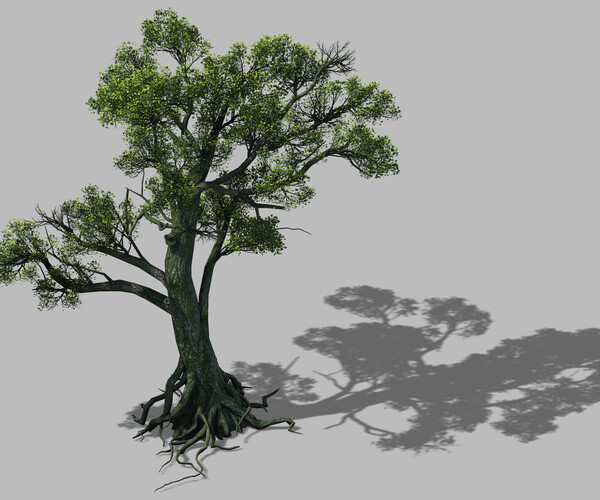 ArtStation - Big tree 1102 | Resources