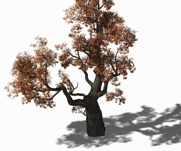 ArtStation - Huashan - Plant - Tree 01 | Game Assets