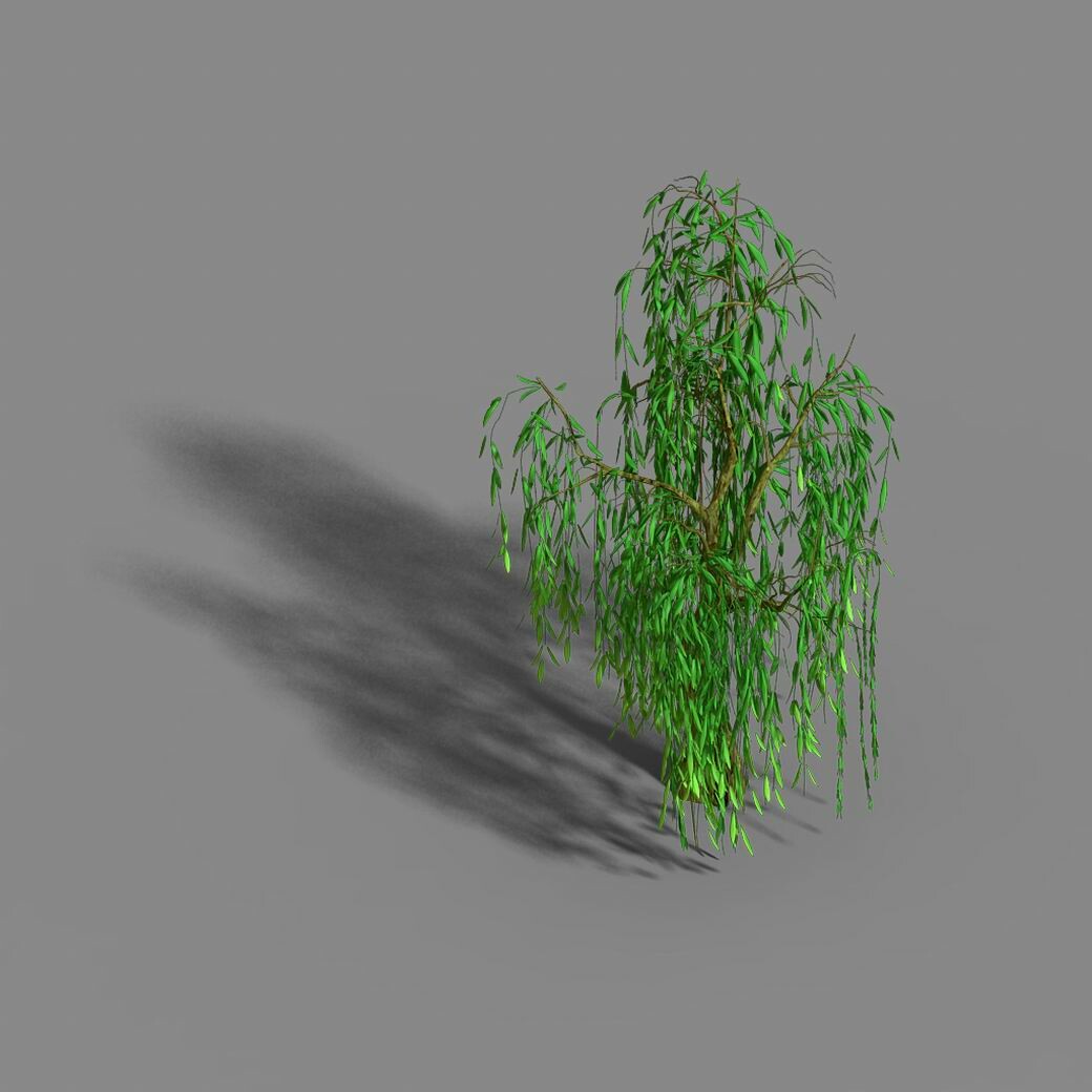 ArtStation - Liuli Island - willow 01 | Resources
