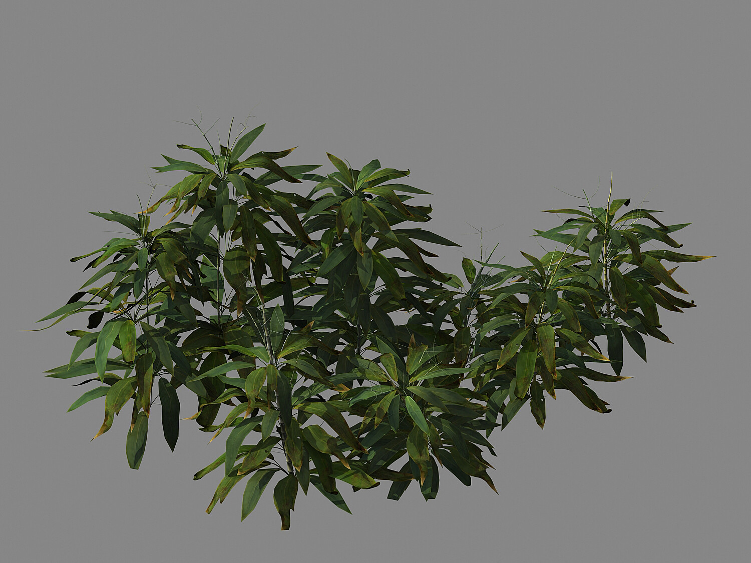 ArtStation - Journey to the West - bamboo shrub 03 | Resources