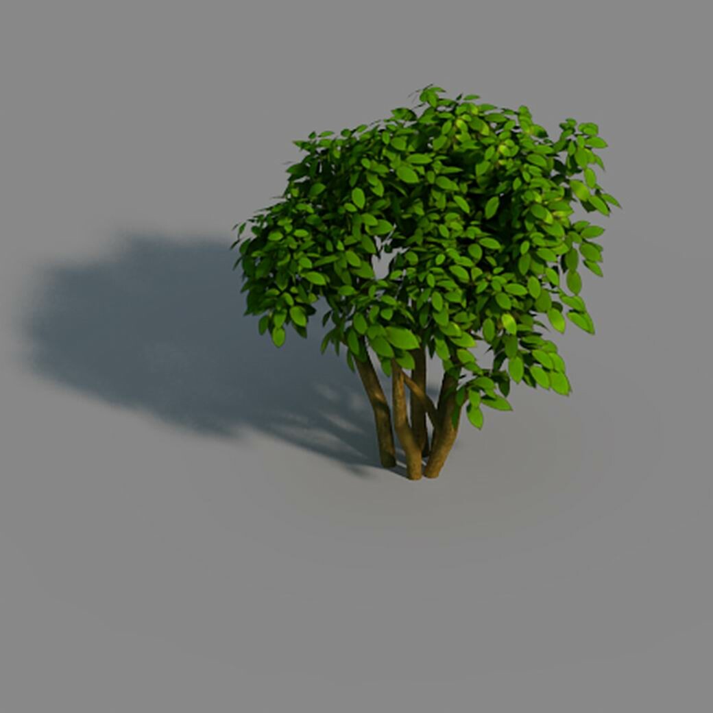 ArtStation - Small bamboo peak - tree 02 | Resources