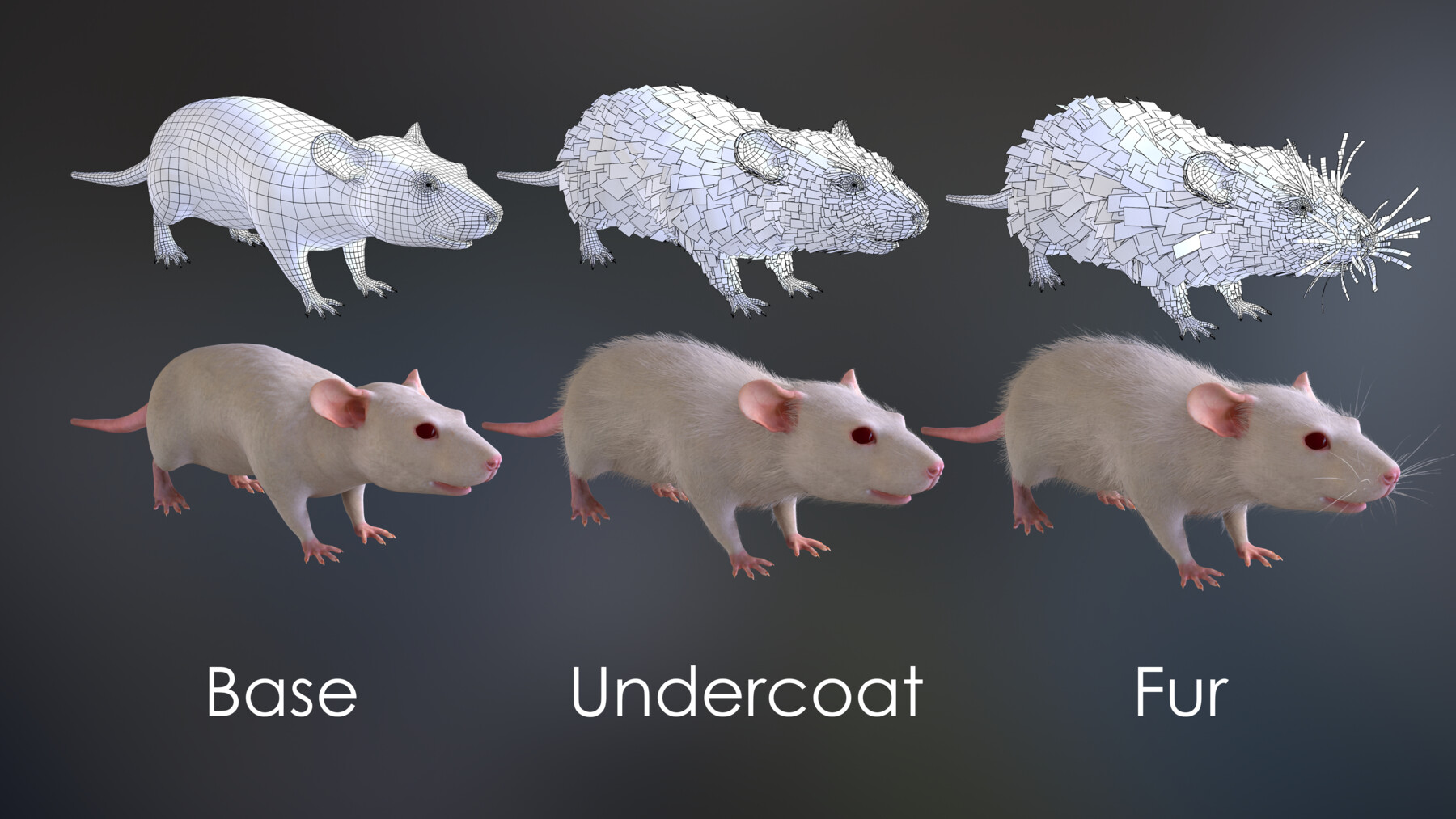 ArtStation - Rats with low poly fur | Game Assets