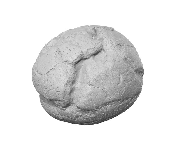 ArtStation - Broa - Extreme Definition 3D Scanned Model | Resources