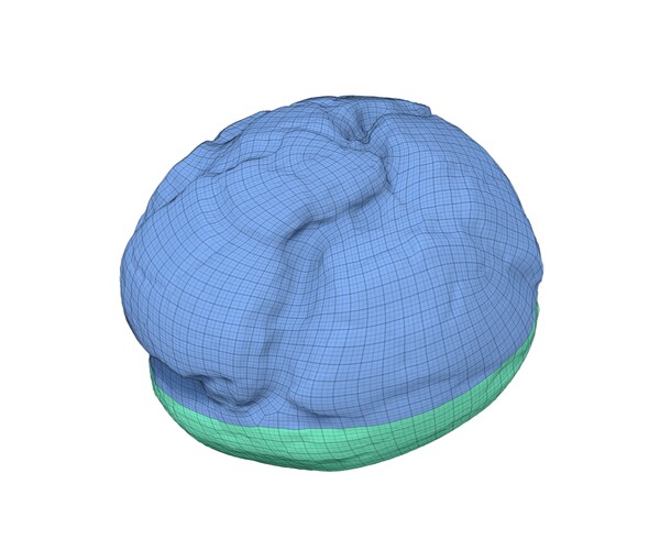 ArtStation - Broa - Extreme Definition 3D Scanned Model | Resources