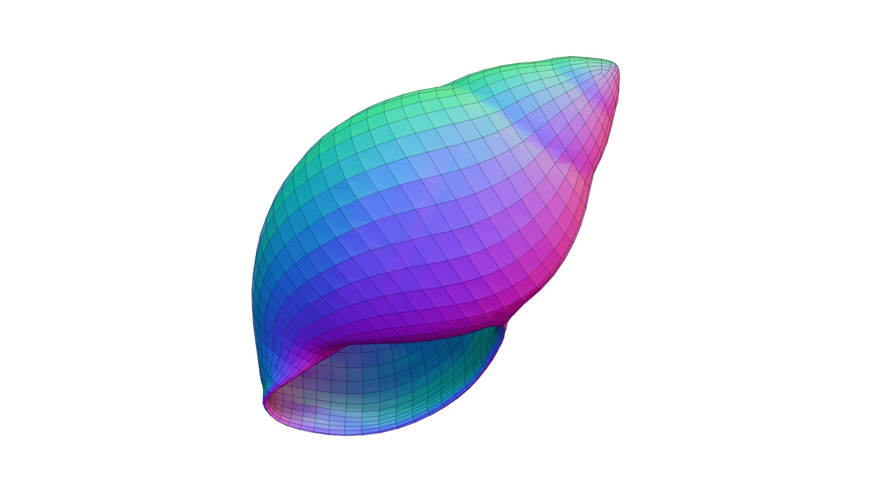 ArtStation - Snail Shell - Real-Time 3D Scanned Model | Resources