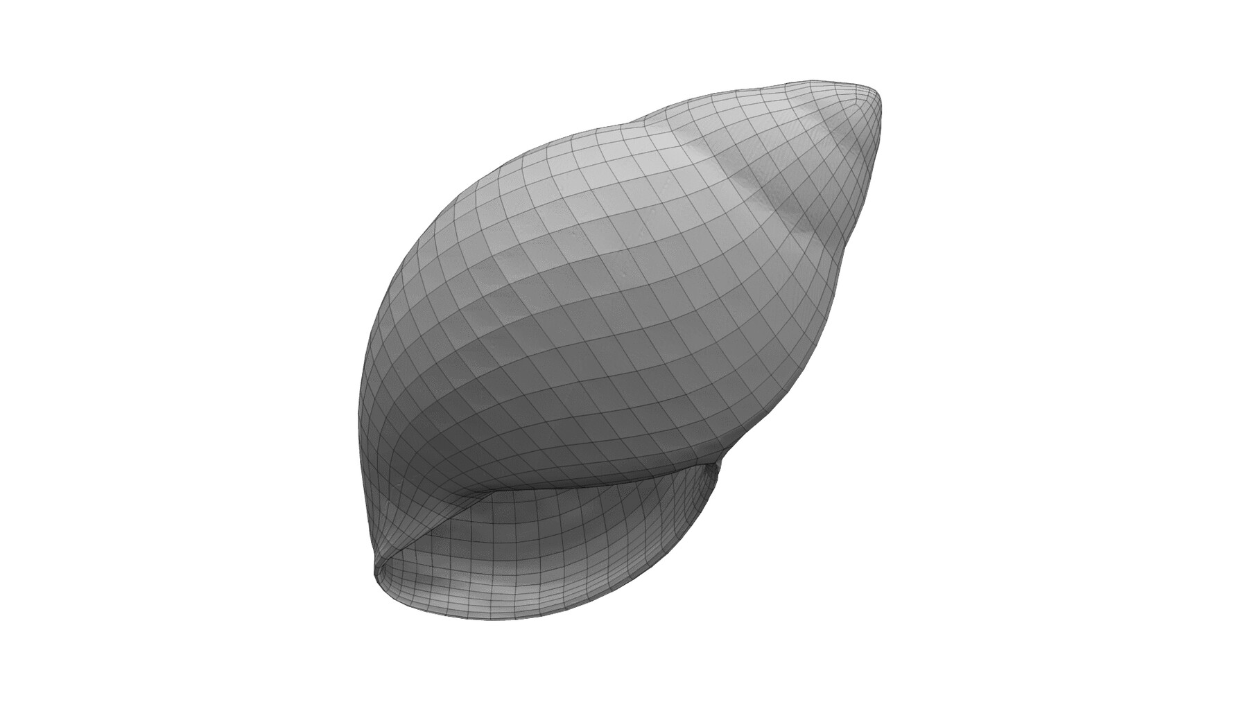 ArtStation - Snail Shell - Real-Time 3D Scanned Model | Resources