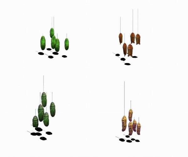 ArtStation - Insects - pupa | Game Assets