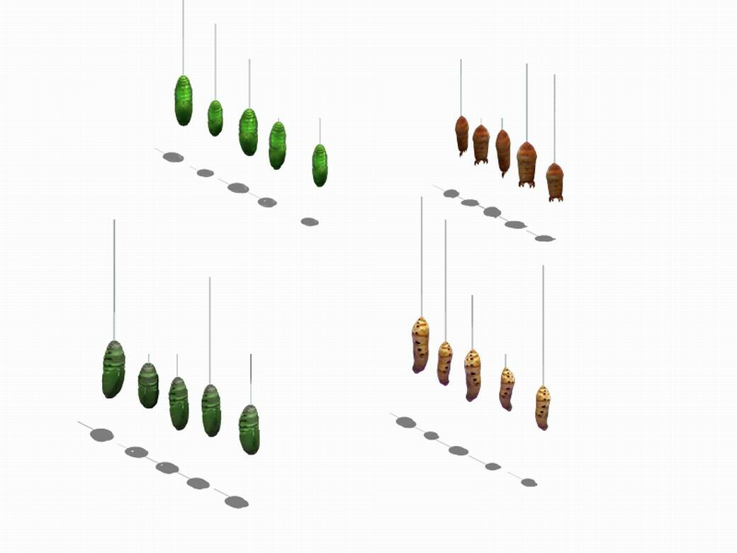 ArtStation - Insects - pupa | Game Assets