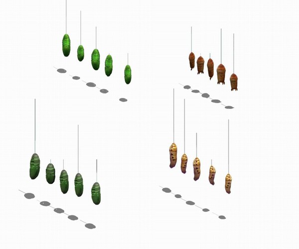 ArtStation - Insects - pupa | Game Assets