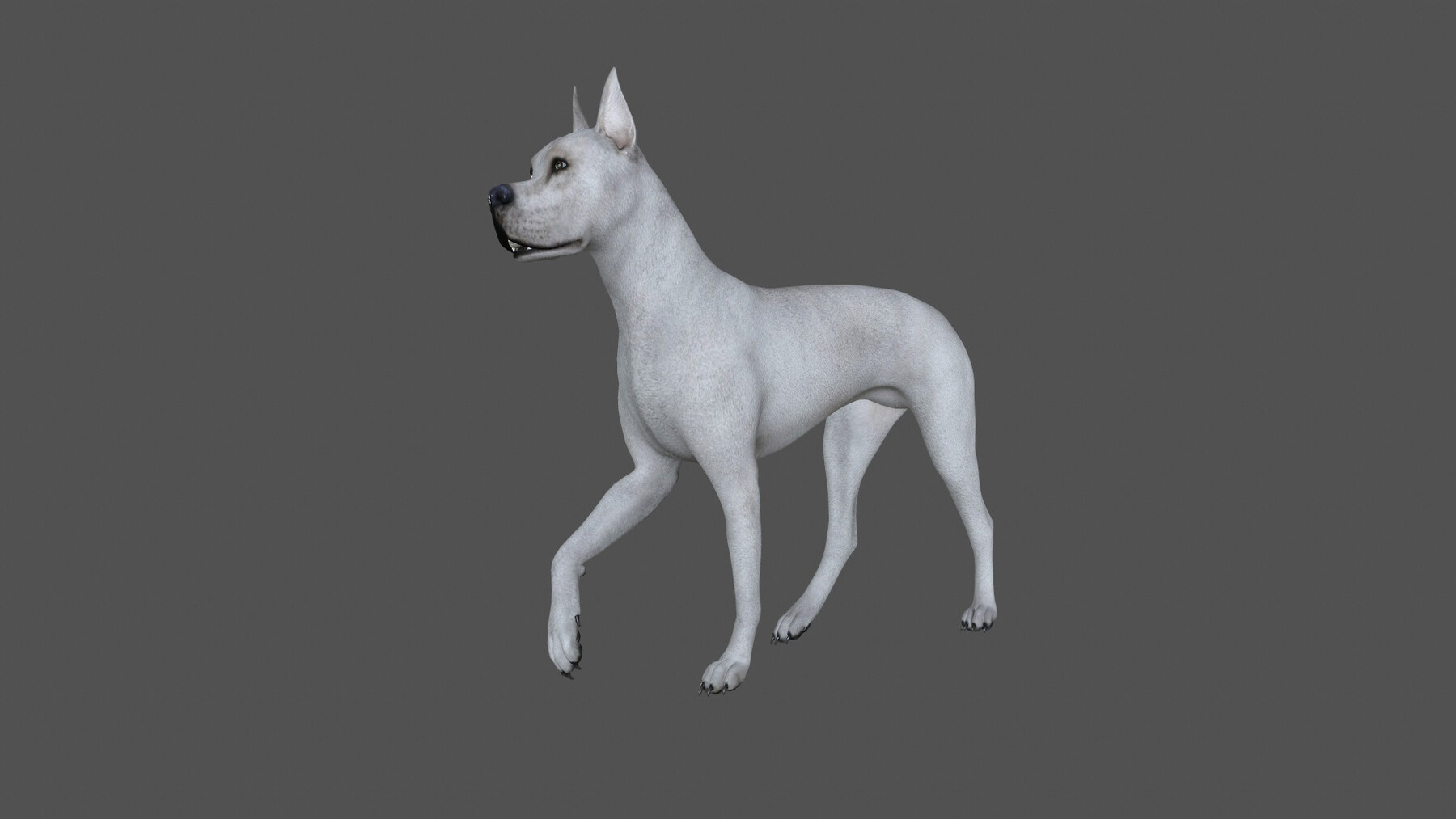 ArtStation - FDGD.001 Dog Animation | Game Assets