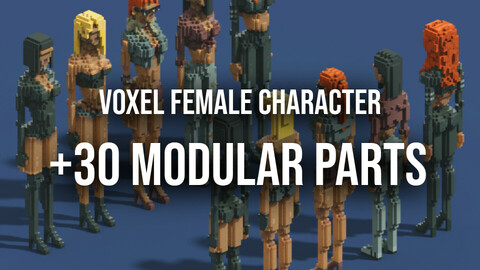 ArtStation - +30 Modular Female Voxel Characters | Game Assets