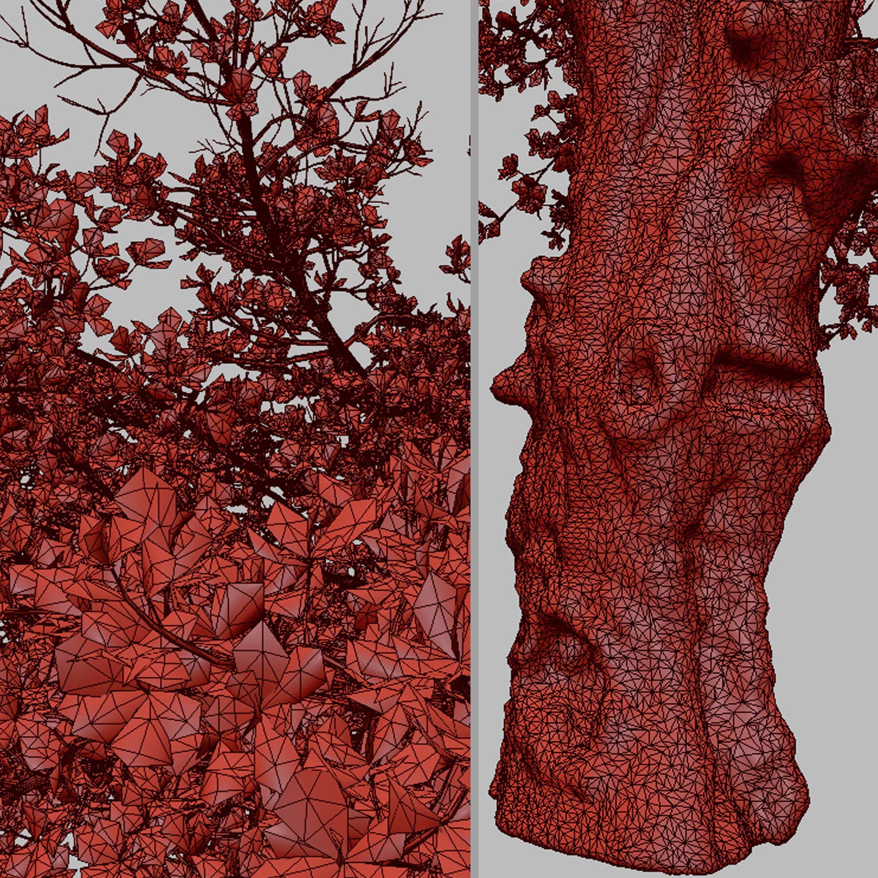 ArtStation - Set of Terminalia catappa Tree (Indian almond) (2 Trees ...