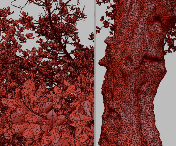 ArtStation - Set of Terminalia catappa Tree (Indian almond) (2 Trees ...