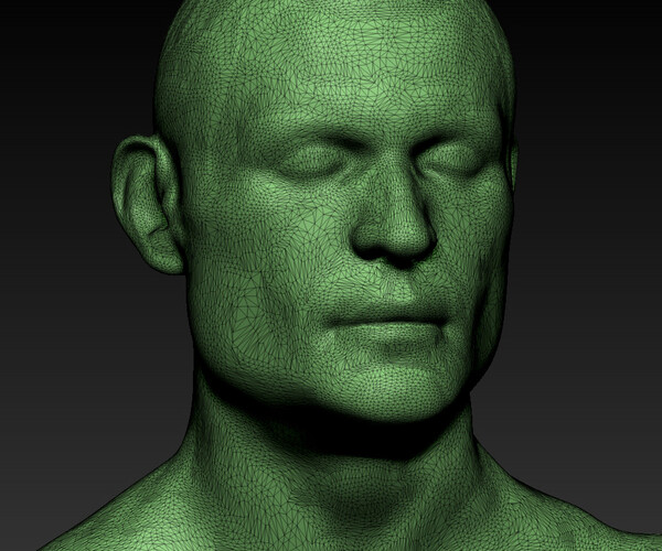 ArtStation - Male Bust - Anatomy | Resources