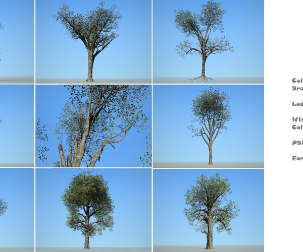 ArtStation - Tree Collection 001 | Game Assets