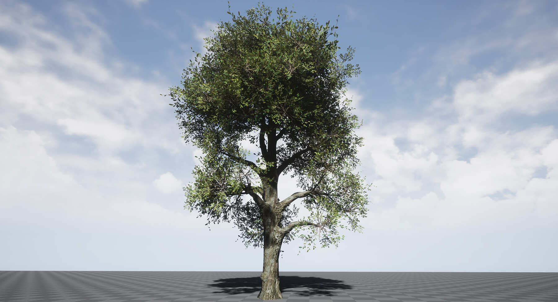 ArtStation - Tree Collection 001 | Game Assets
