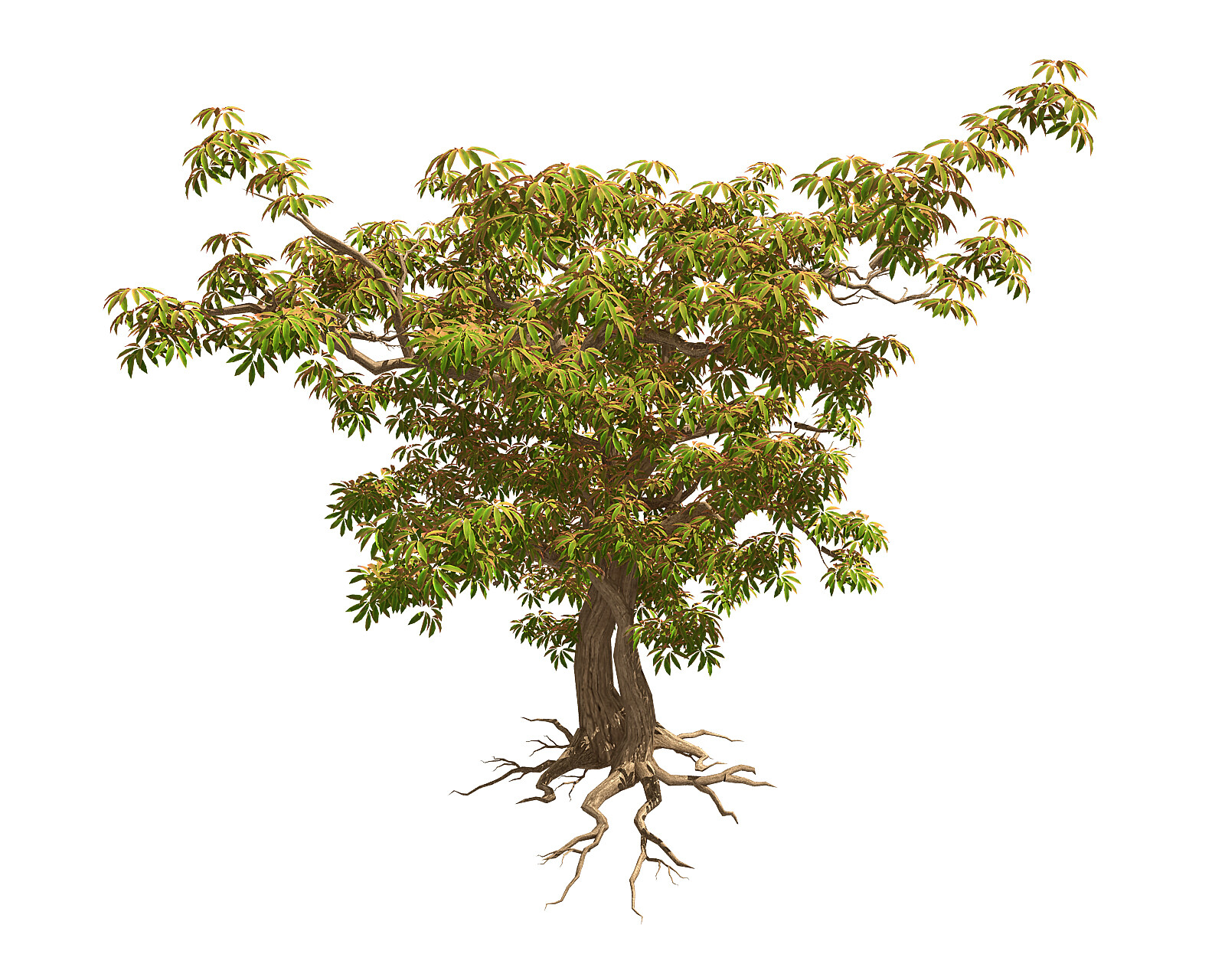 ArtStation - Sharp leaves - Tree 32 | Game Assets