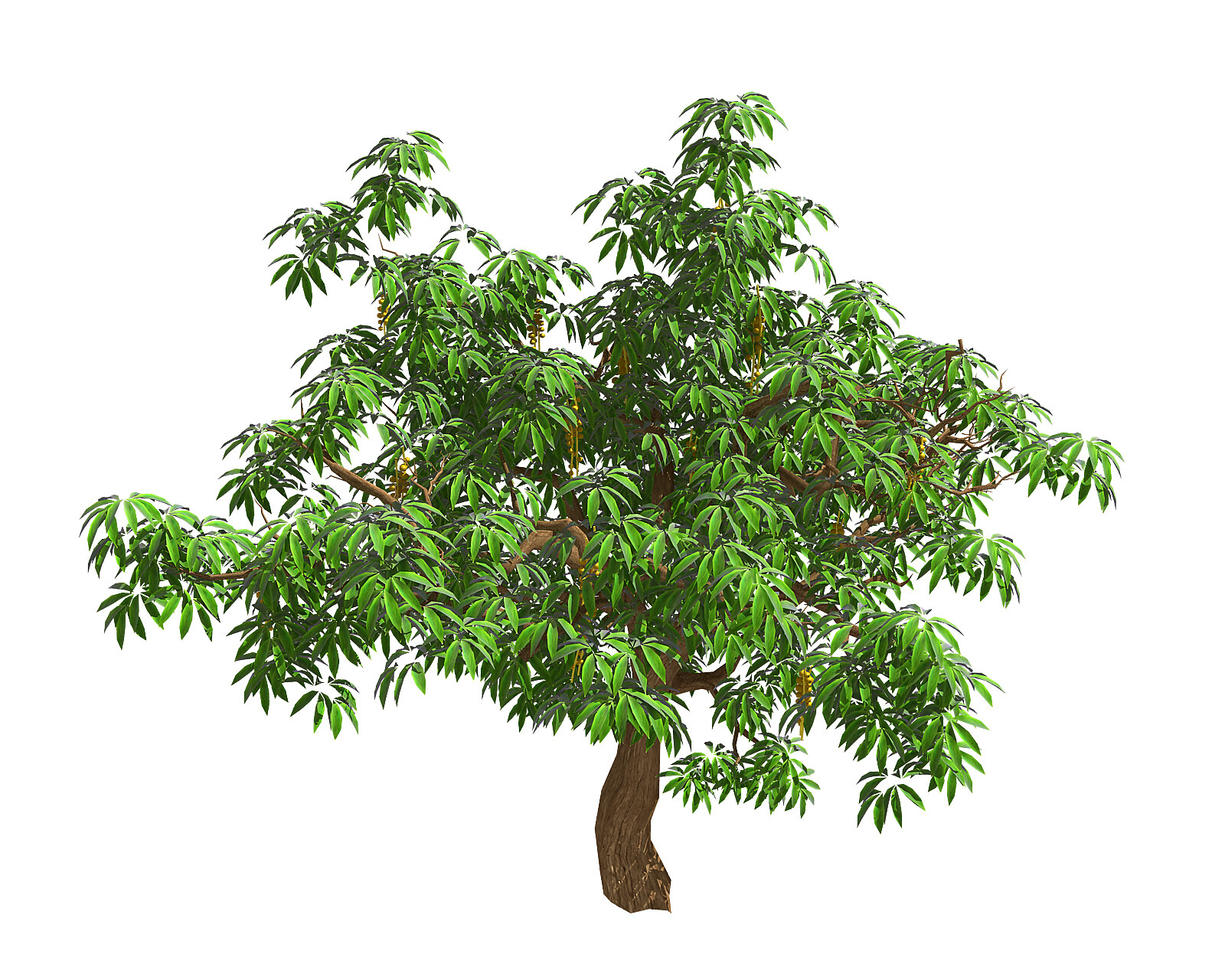 ArtStation - Sharp leaves - Tree 33 | Game Assets