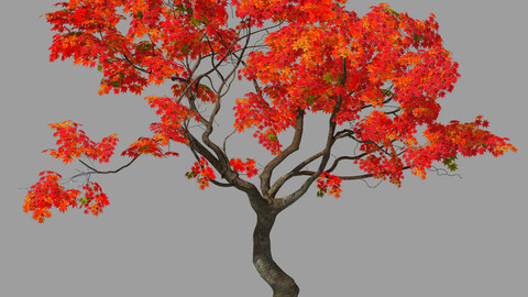 ArtStation - Forest - Red Tree 01 | Game Assets