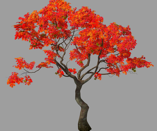 ArtStation - Forest - Red Tree 01 | Game Assets