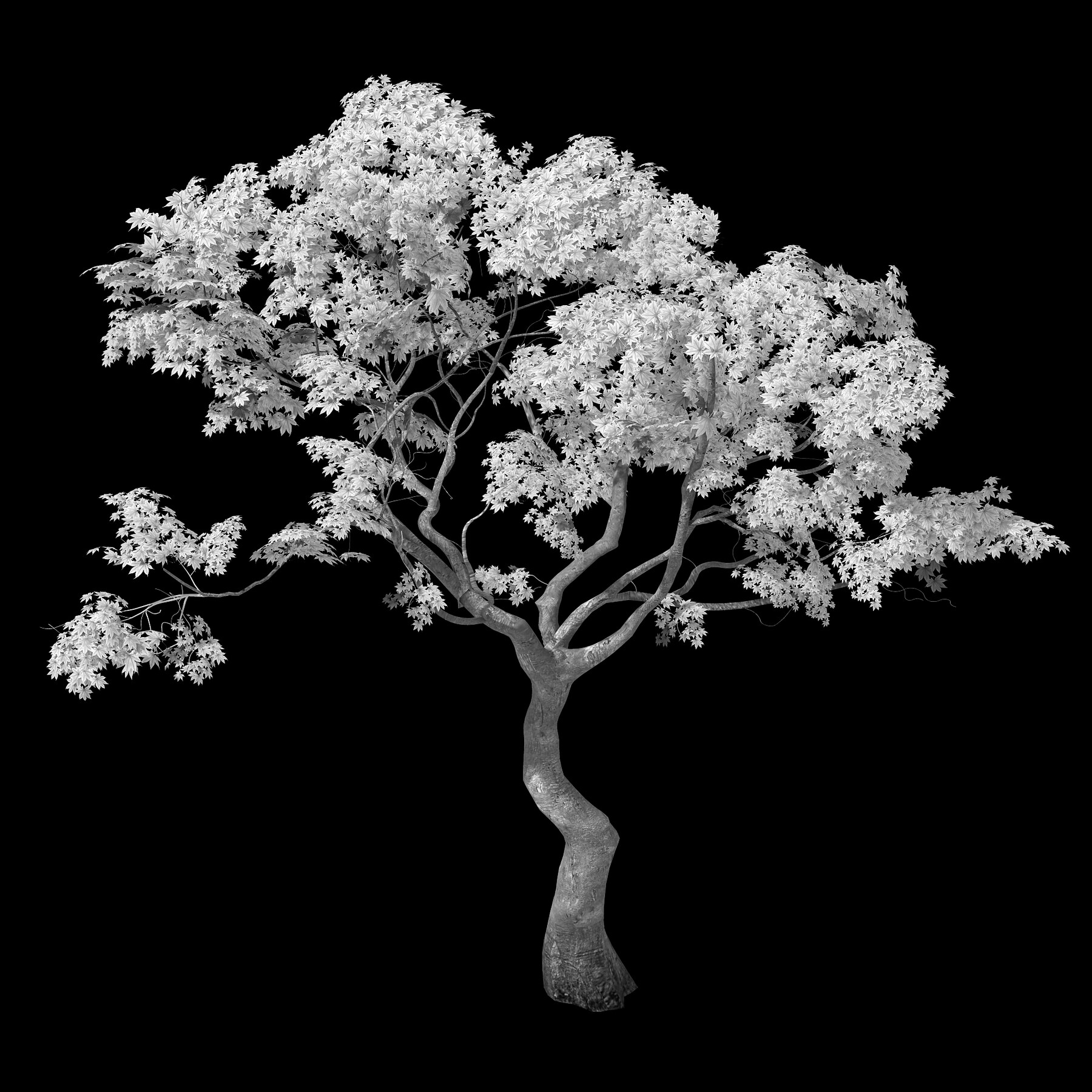 ArtStation - Forest - Red Tree 01 | Game Assets
