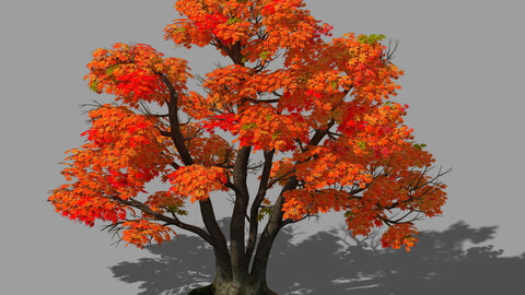 ArtStation - Forest - Red Tree 02 | Game Assets