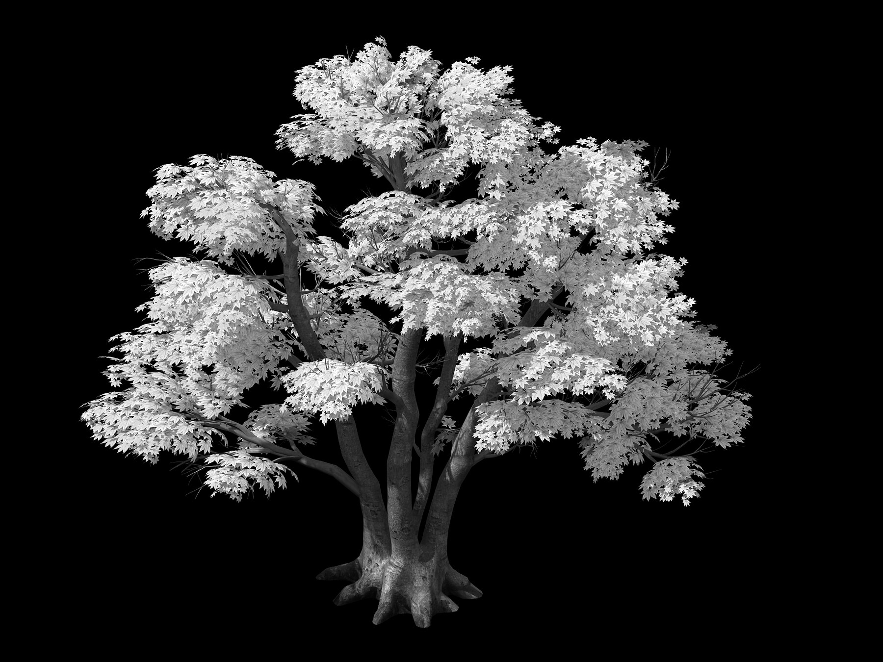 ArtStation - Forest - Red Tree 02 | Game Assets