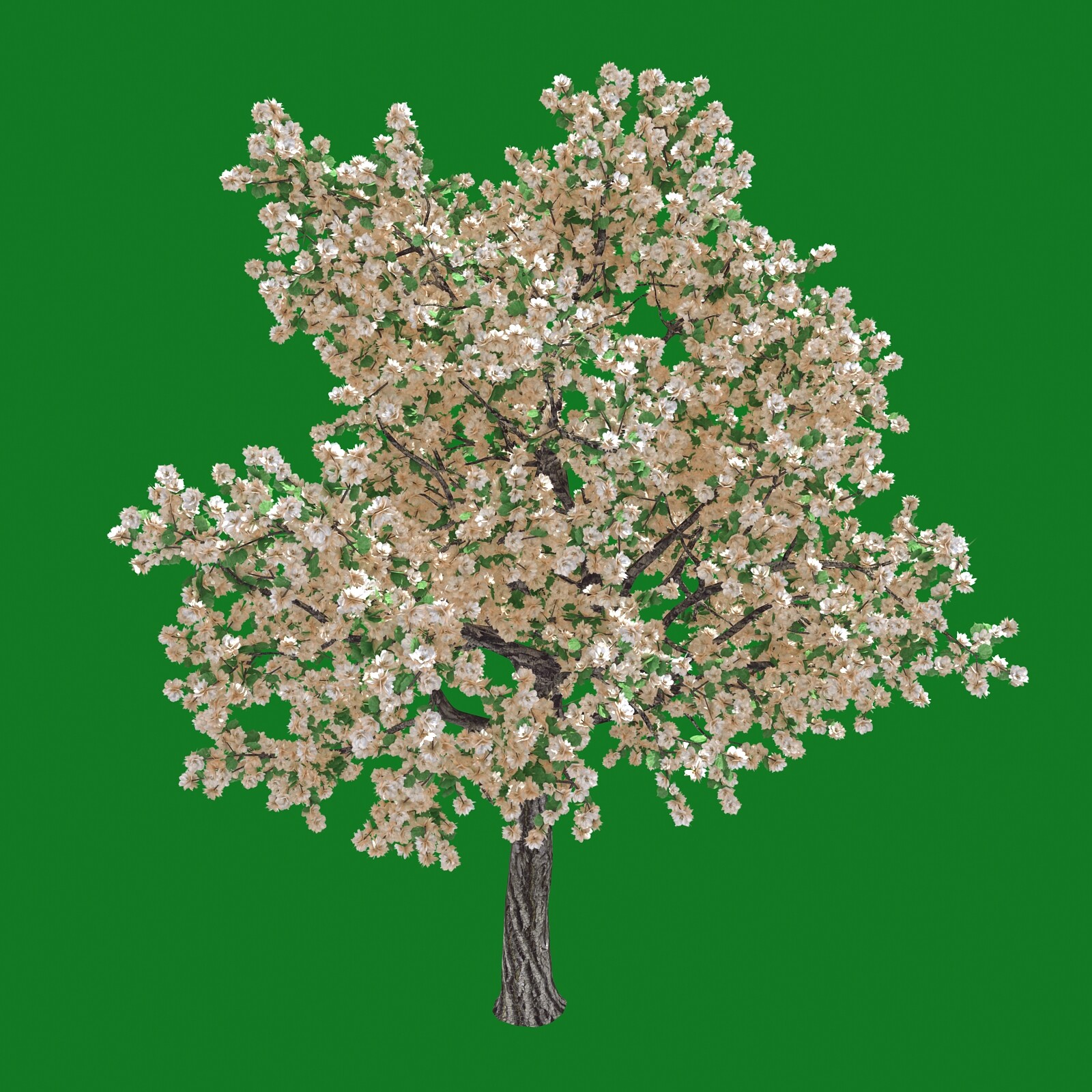ArtStation - Forest - Pear - Pear Tree | Game Assets
