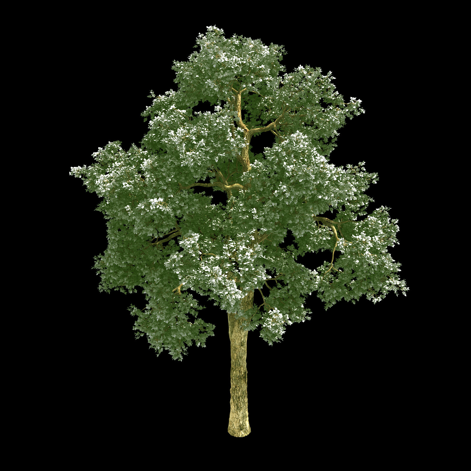 ArtStation - Forest - Wooden Maple Tree 78 | Game Assets