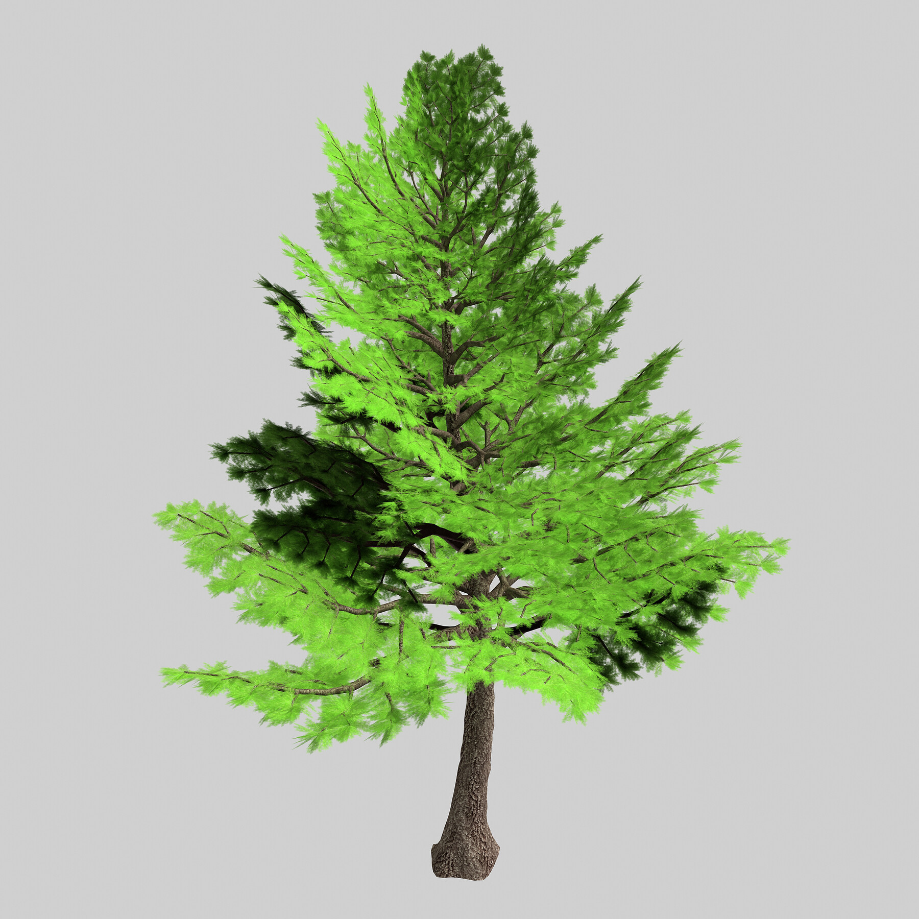 ArtStation - Forest - Cedars 21 | Game Assets