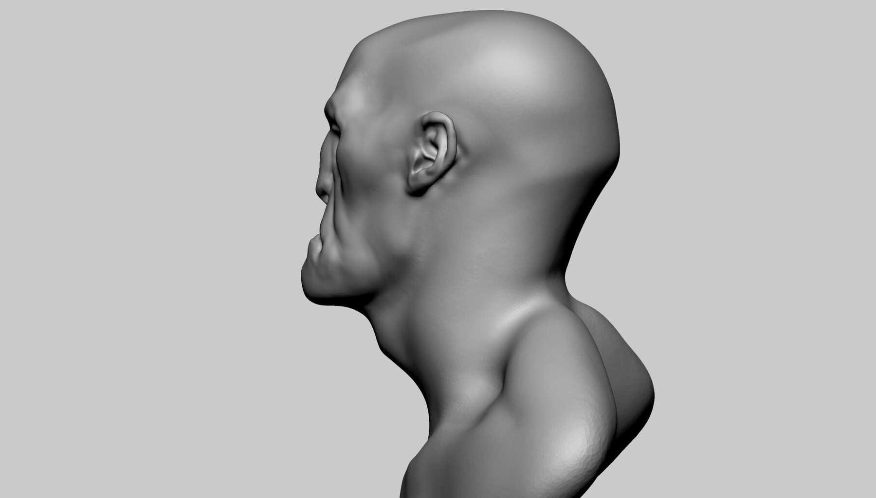 ArtStation - Stylized Creature Head | Resources