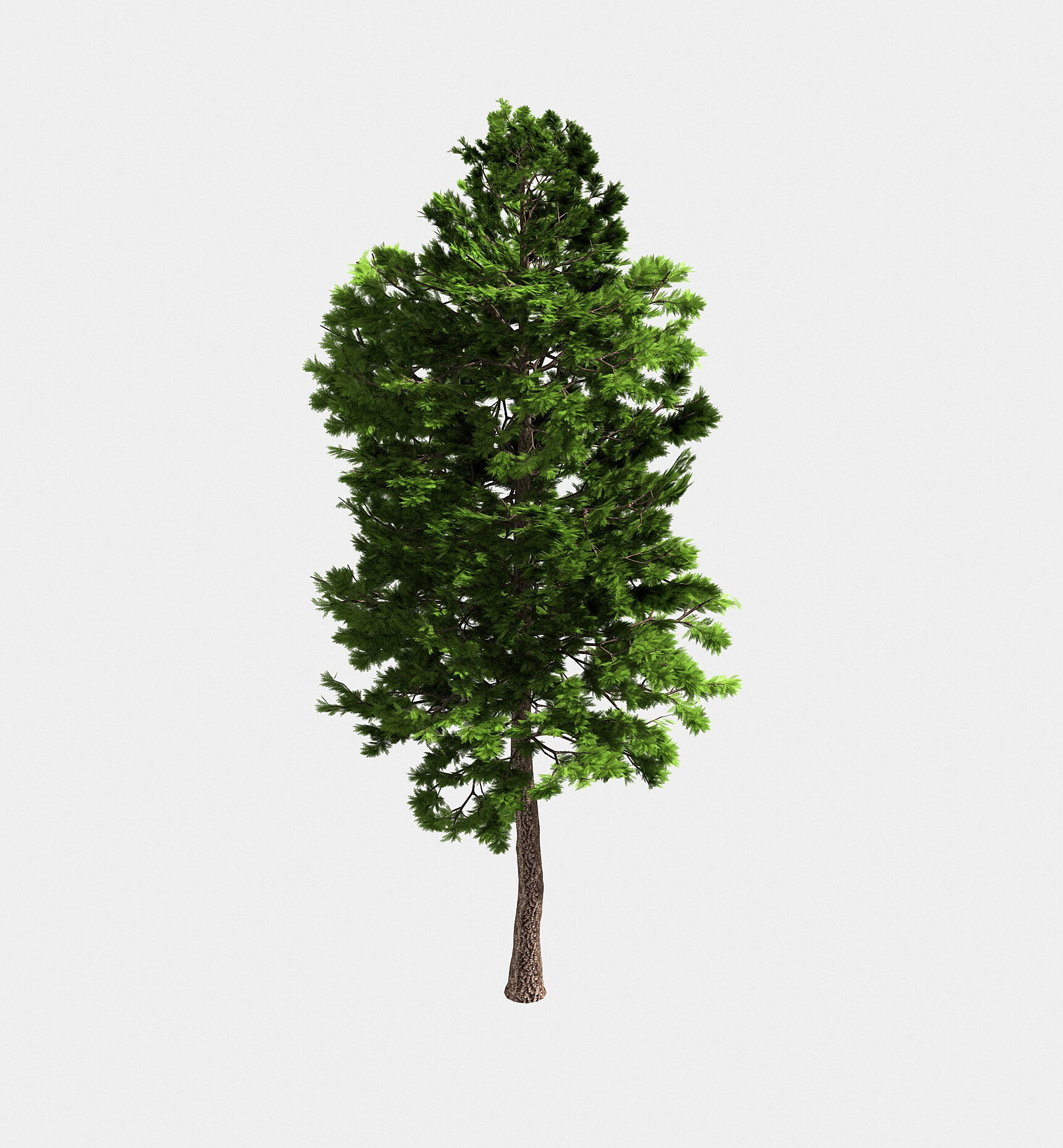 ArtStation - Forest - Scotia Pines 58 | Game Assets