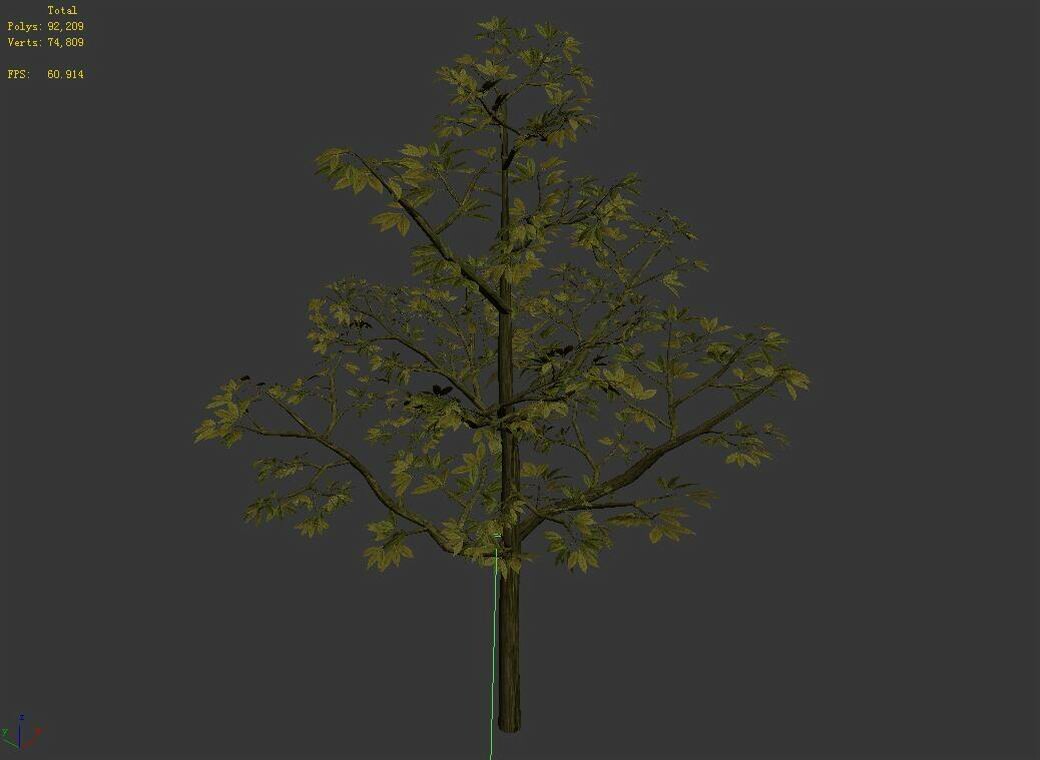 ArtStation - Forest Plants - Trees 65 | Game Assets